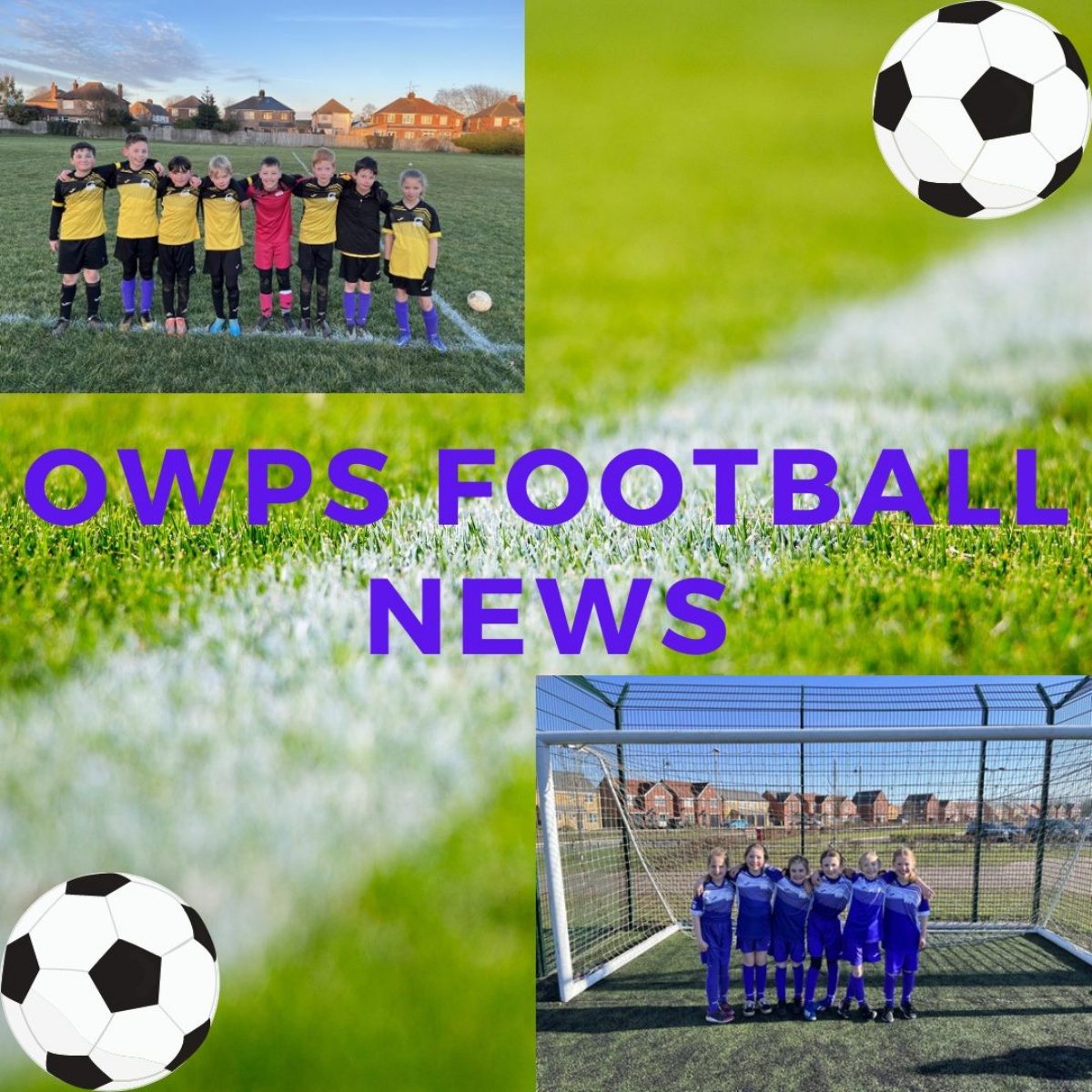 Orton Wistow Primary School - Item Not Available